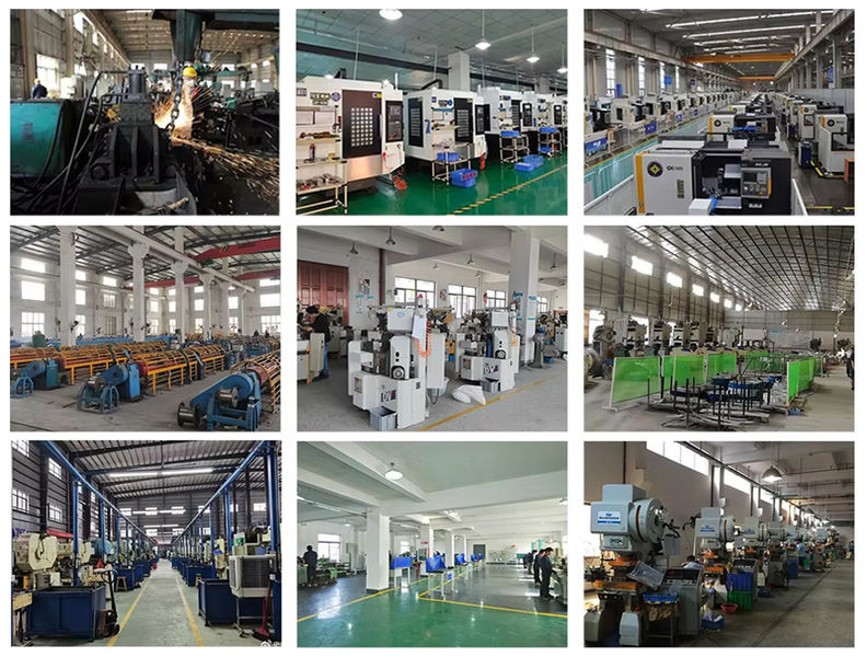 China Chongqing Honghao Technology Co., Ltd. company profile